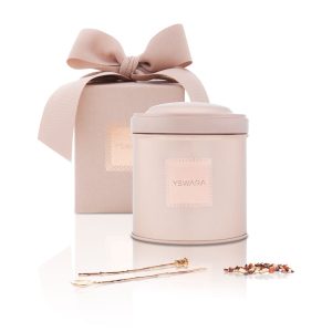 Swaady Martin: Franchising is a great opportunity to support women ...